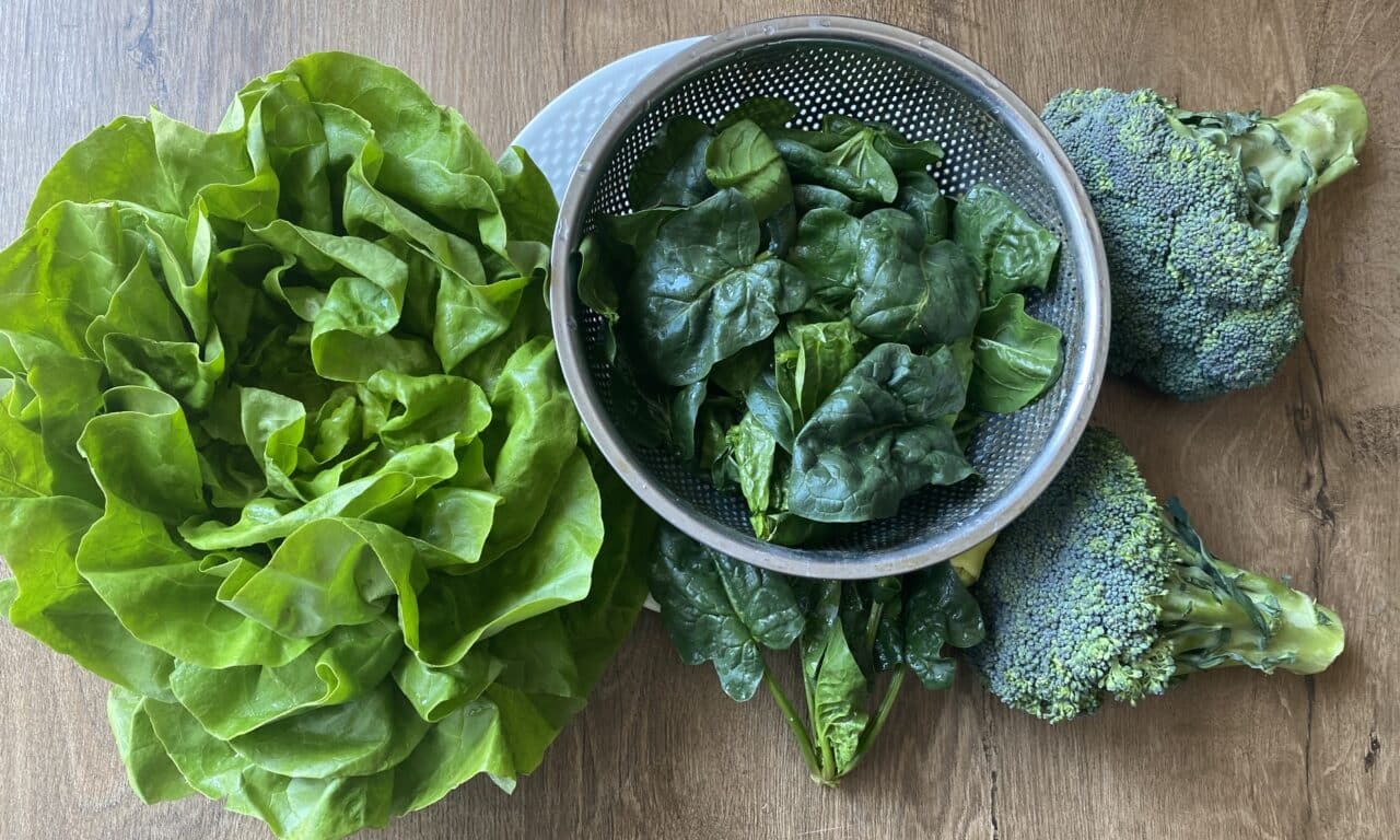 In welke voeding zit vitamine A? Een compleet overzicht - Nutrifoodz