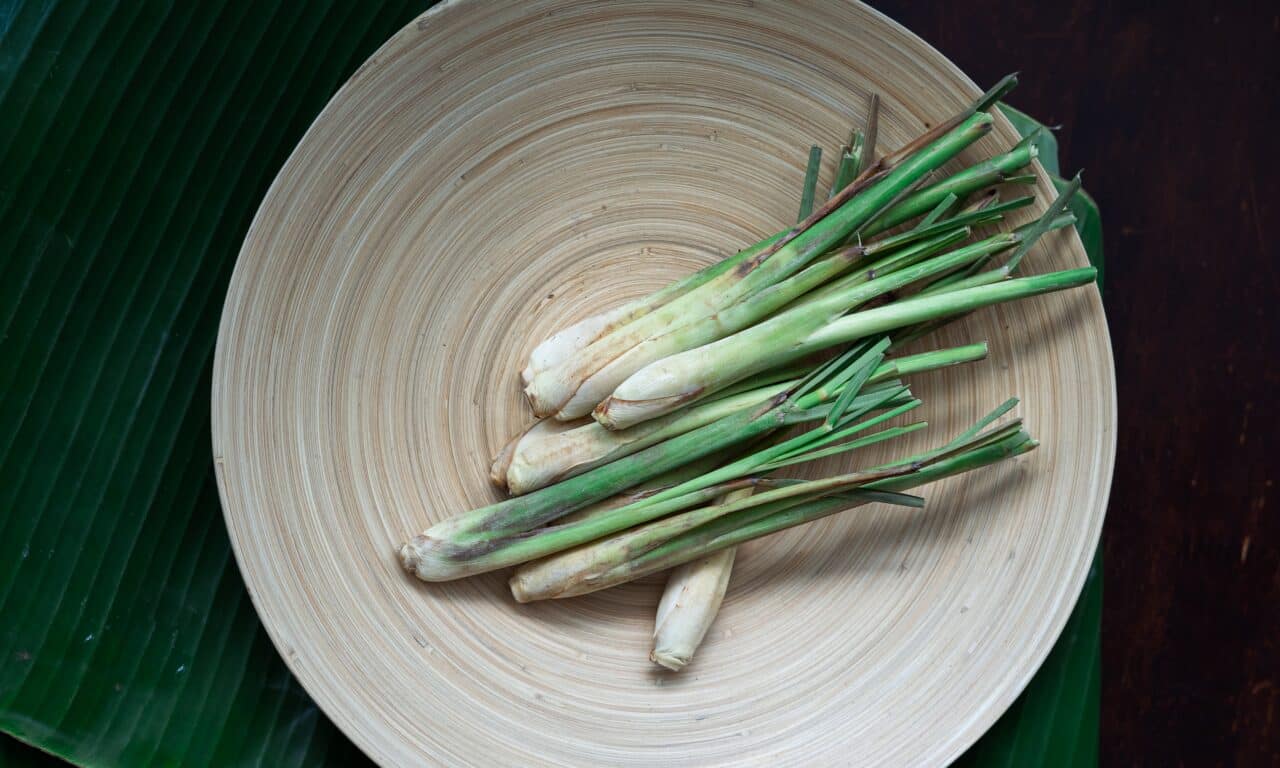 Groene thee: Alles wat je ooit wilde weten over dit populaire superfood ...