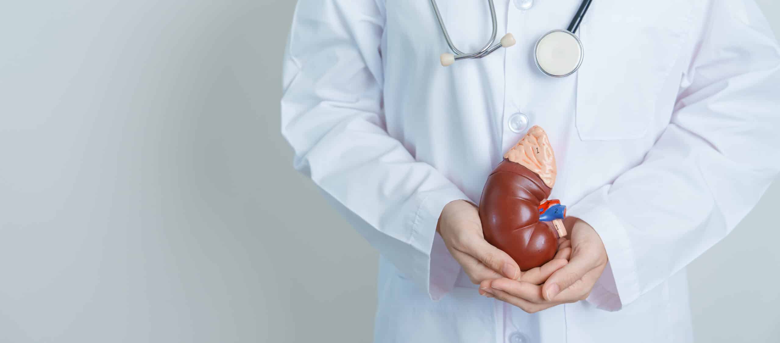 De connectie tussen vitamine B1 en je lever die je moet kennen - Nutrifoodz